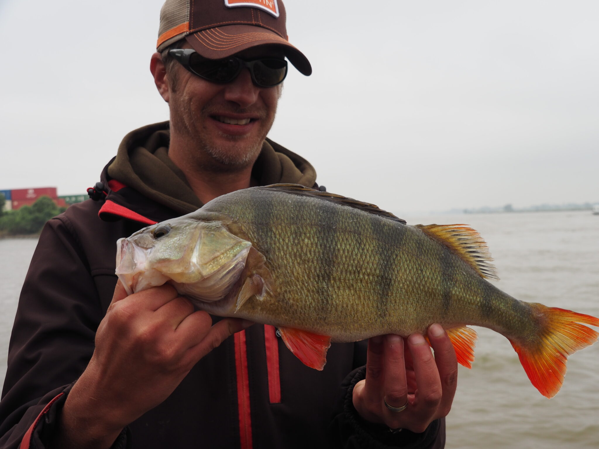 Barsch Angeln Uhrzeit - Wann fressen Barsche? Die besten Beißzeiten